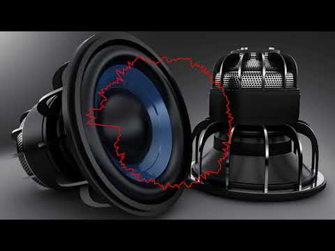 Gorilla Zoe DJSNT pole  (BASS)