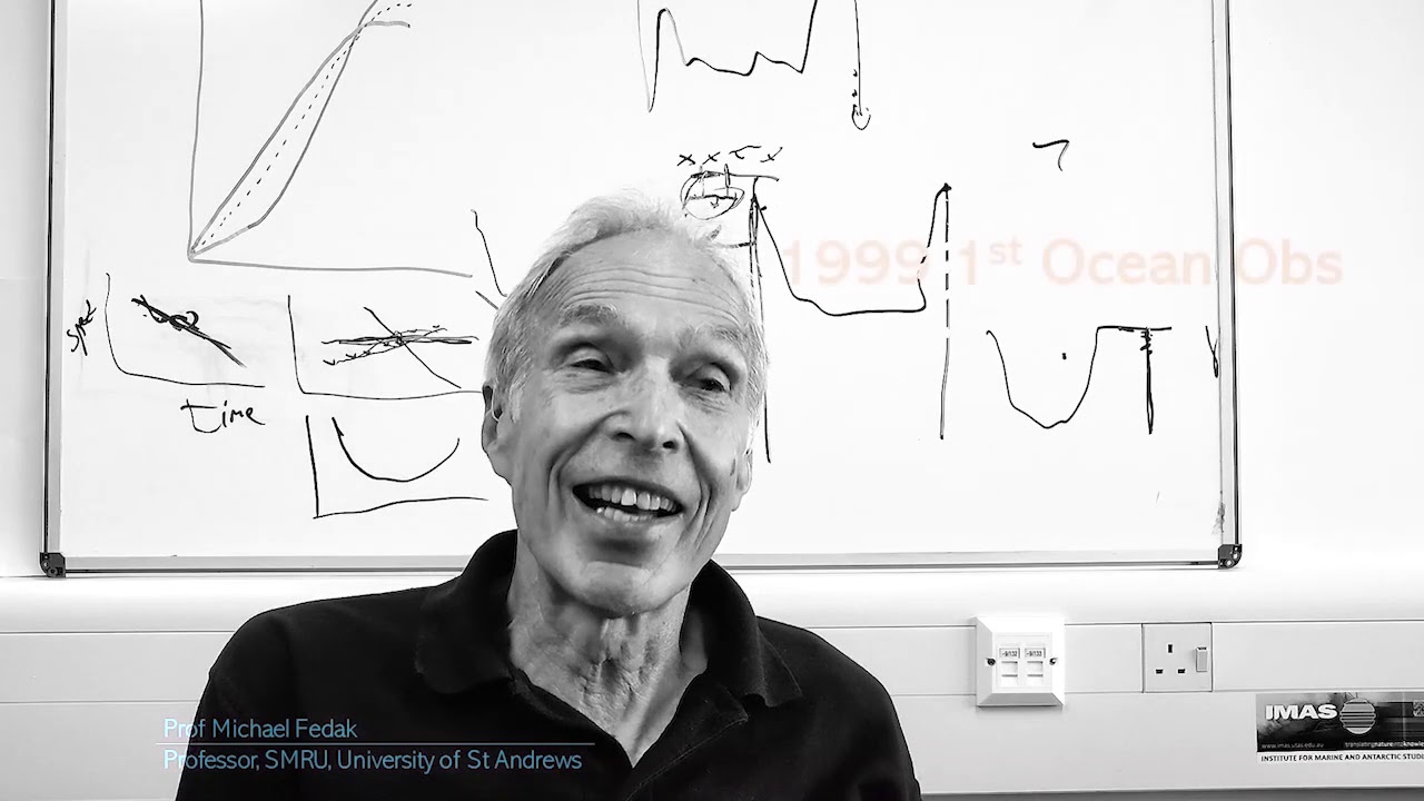 Mike Fedak - A brief history of animal platforms for oceanography - YouTube