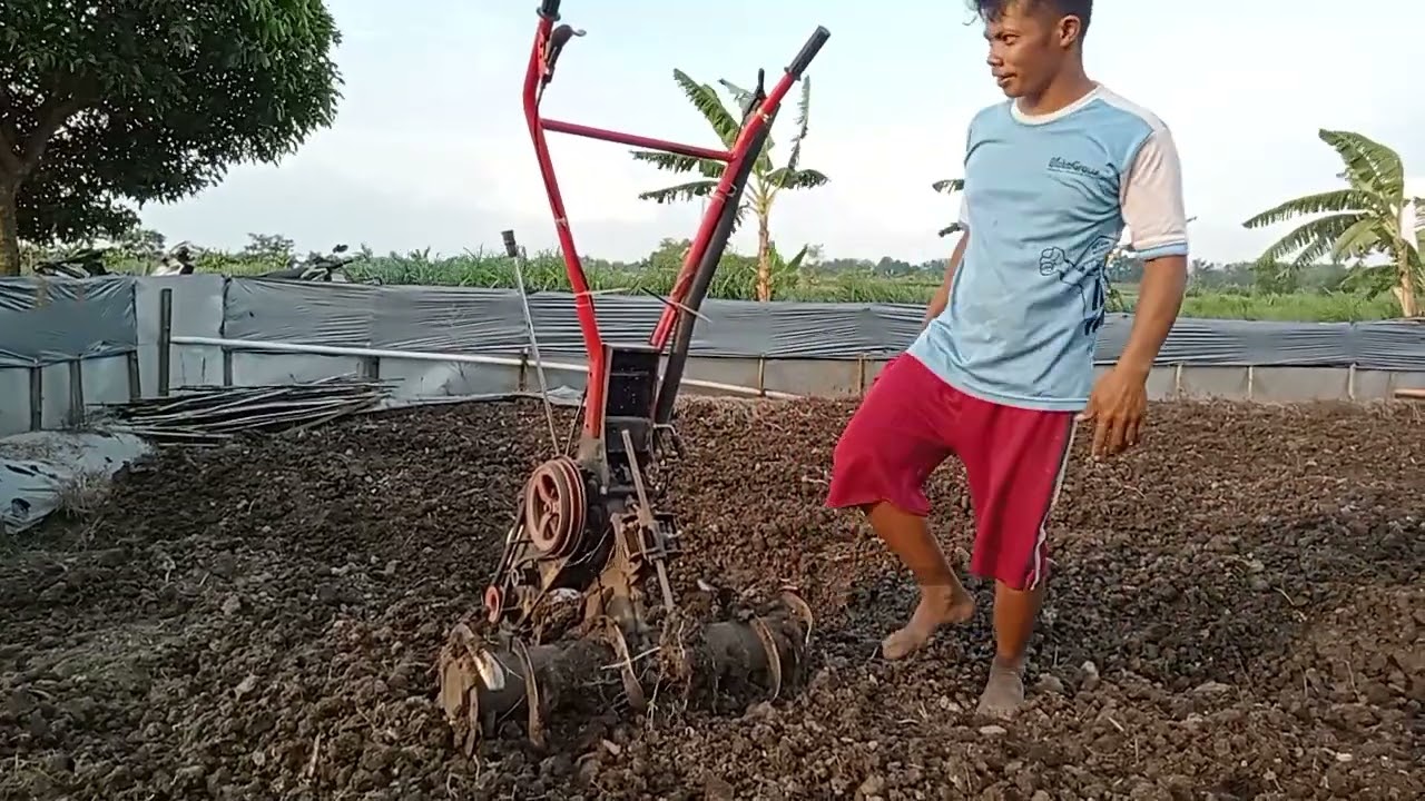 Mesin Cangkul (pacol) modern, Garap Lahan 2 rb m 2 jam, Biasanya perlu ...