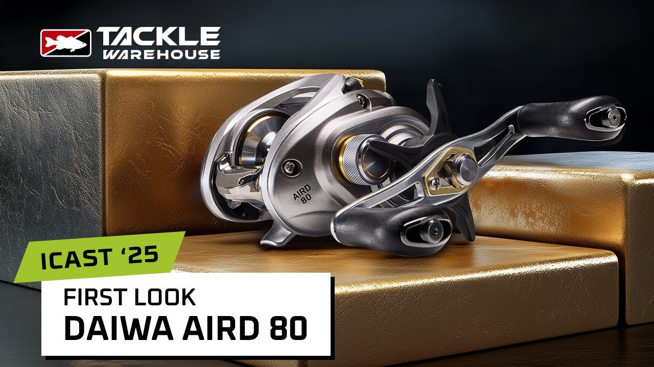 Compact. Capable. Cost-Effective - Daiwa’s Aird 80 Delivers (Full ...