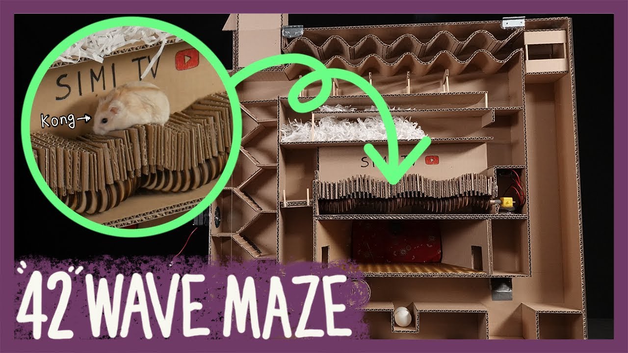 햄스터 콩이 42단 웨이브 미로 탈출 (Hamster 42 Wave maze) - YouTube