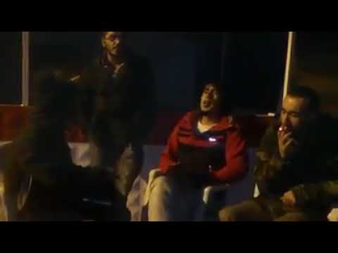 Arsız bela canlı