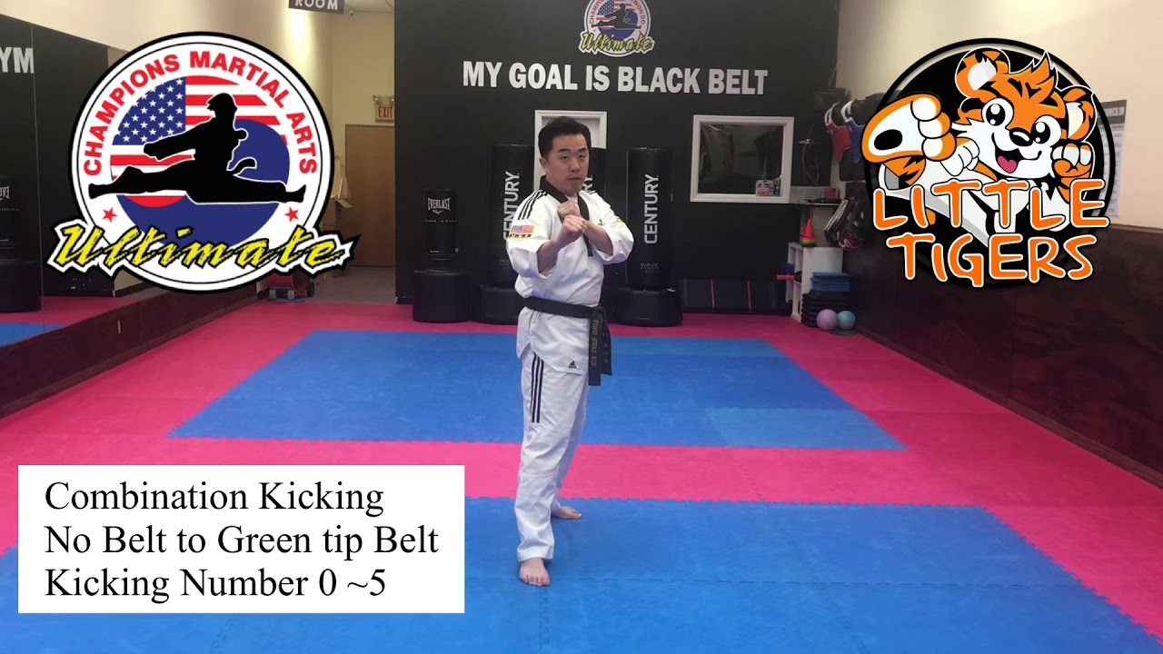 Begular Combination Kicking 0 ~5 - YouTube