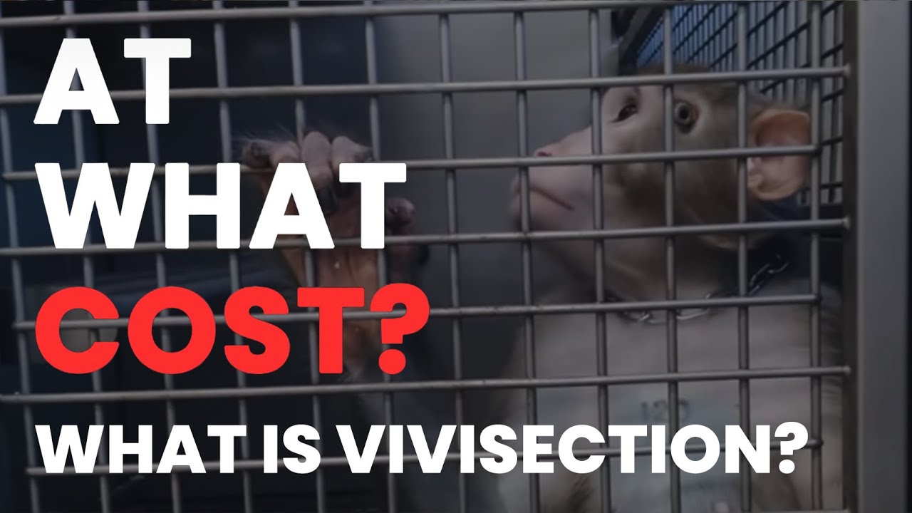 At What Cost? Puppy Killing, Animal Testing & MBR Acres: What is the ...