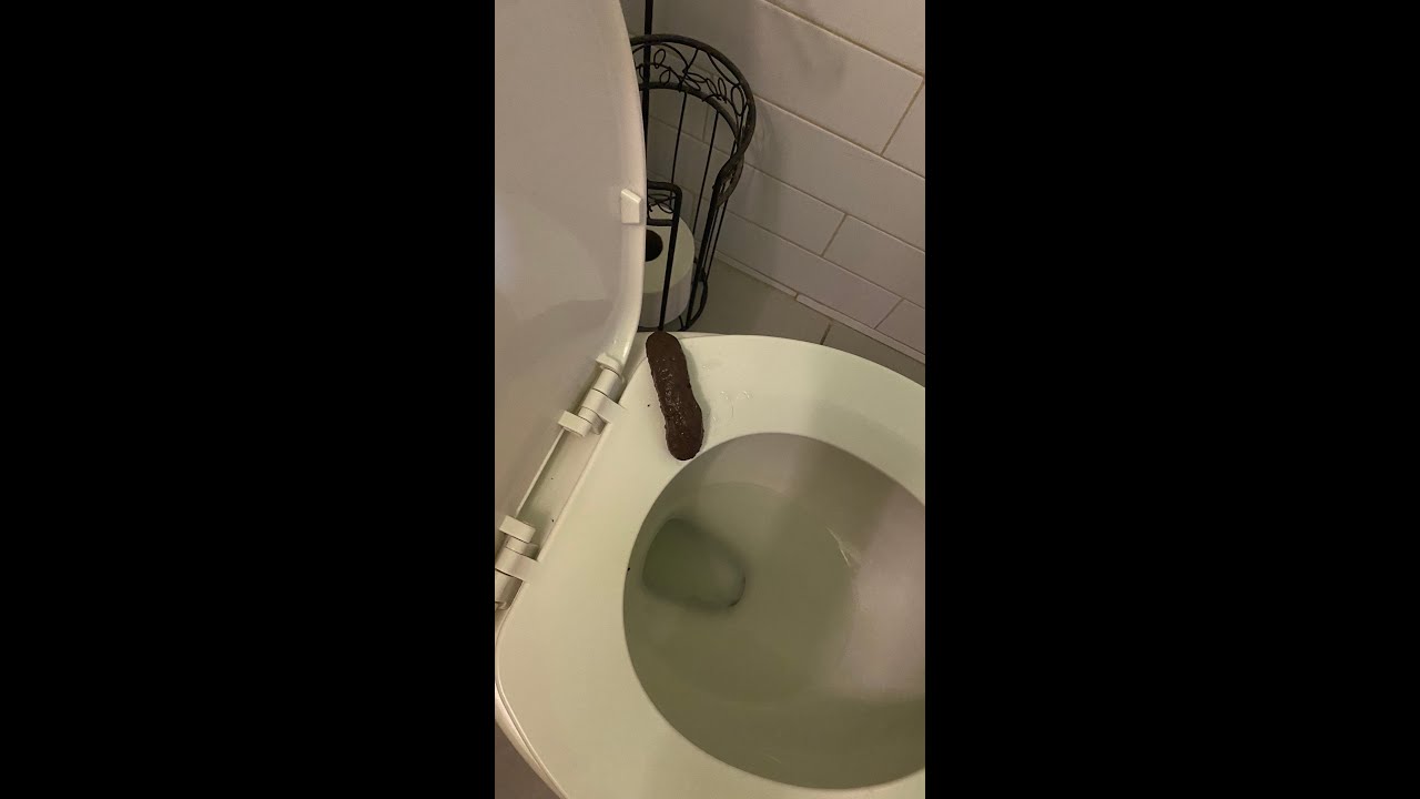 Got some dookie on the toilet to get son & boyfriends reaction - YouTube