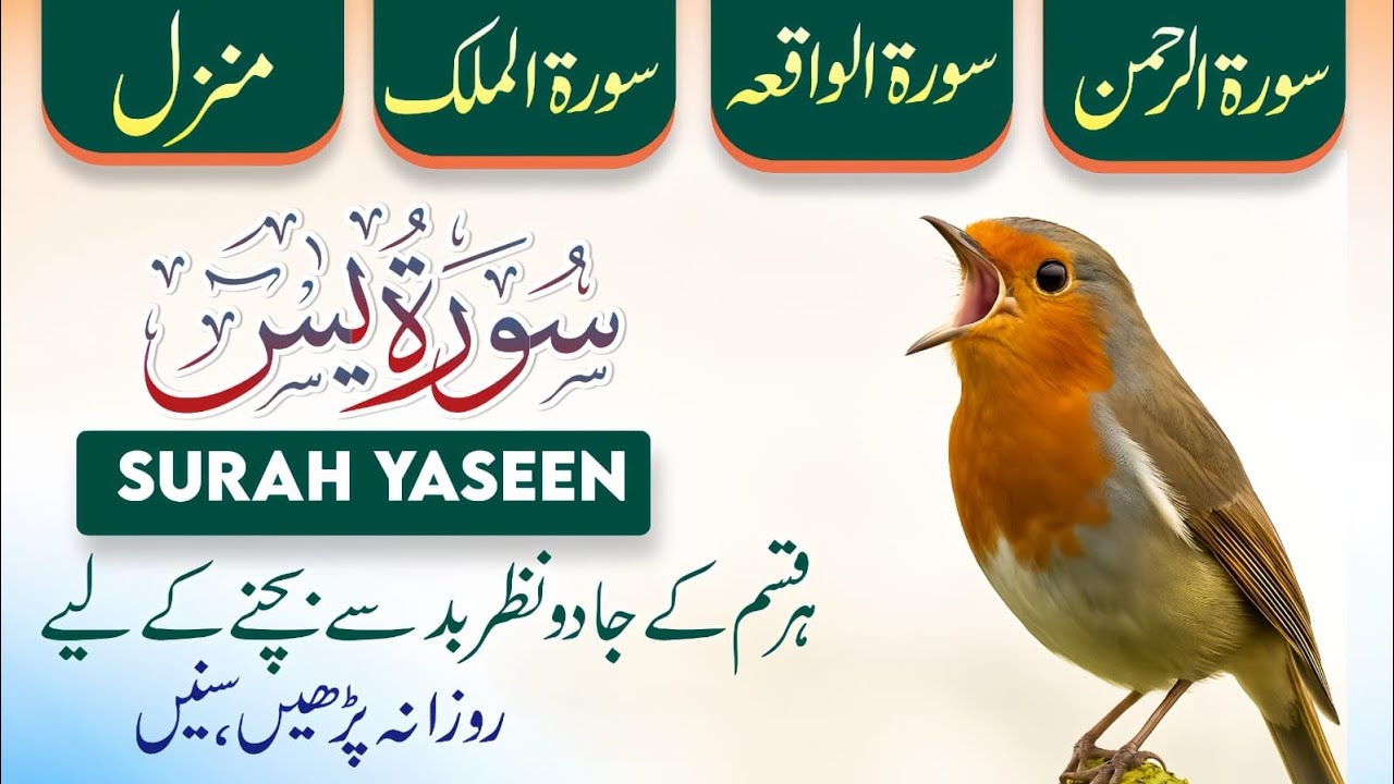 Surah Yaseen | Surah Rehman | Surah Waqiah | Surah Al-Mulk | Manzil Dua ...