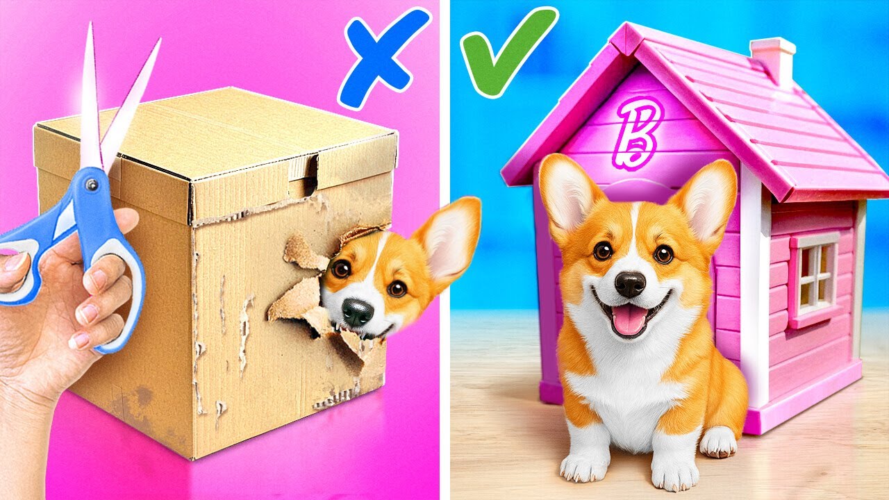 Best Tricks & Gadgets to Make Your Pets Happy! Let`s Build a Tiny Dog ...