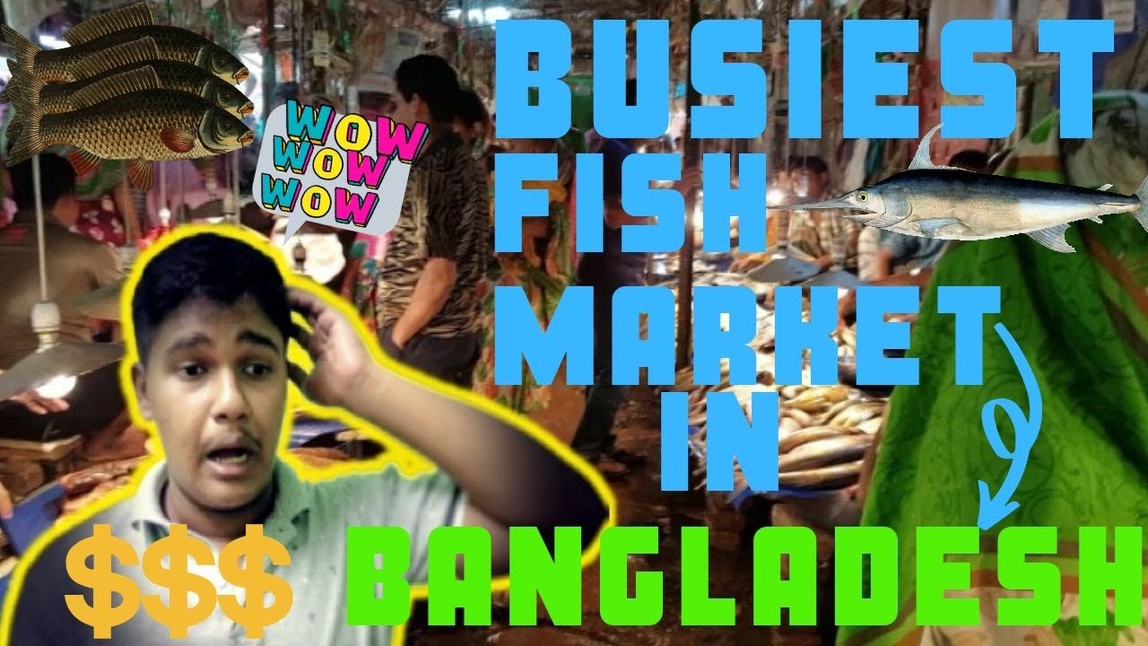 Busiest Fish Market in Bangladesh|| DAY 24|| বাংলাদেশের ব্যস্ততম মাছের ...