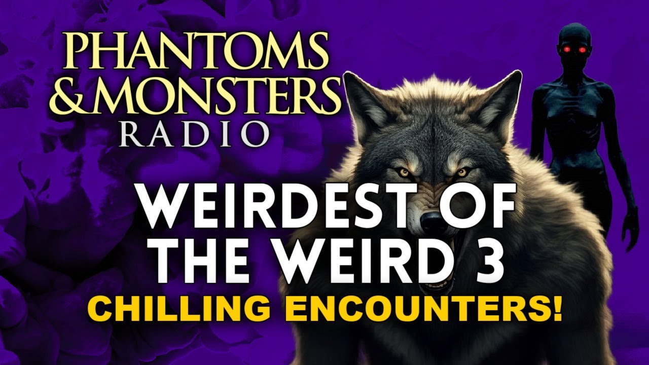 WEIRDEST OF THE WEIRD 3 - CHILLING ENCOUNTERS! | LIVE CHAT | Q & A ...