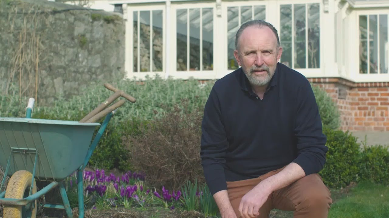 WATCH: Gerry Daly talks Spring Gardening - YouTube