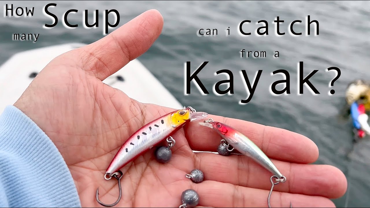 How many scup can I catch from a kayak? - YouTube