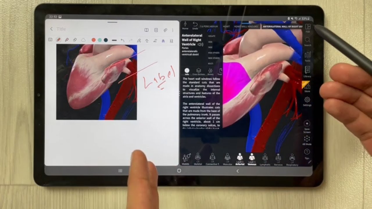 Samsung Notes with Complete Anatomy 2022 - How to Use 3D Atlas with ...
