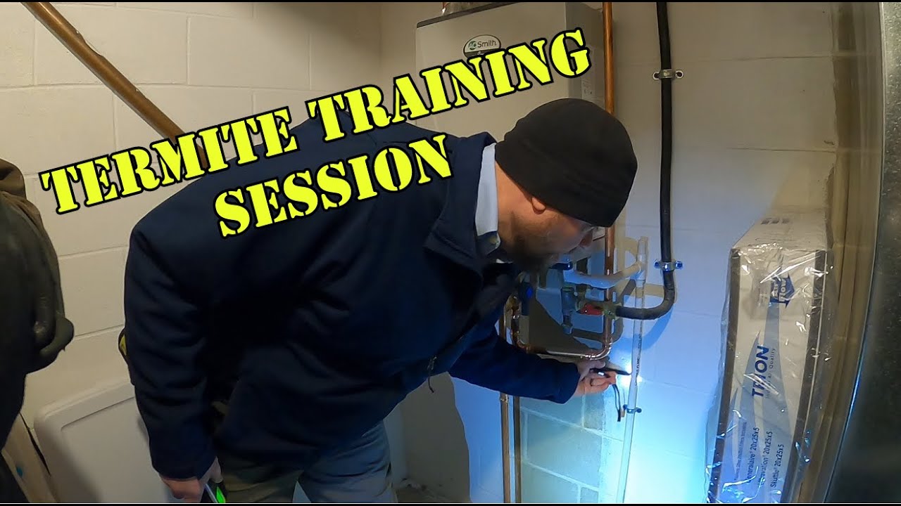Termite training for our teams- and a little trip to Arkansas - YouTube