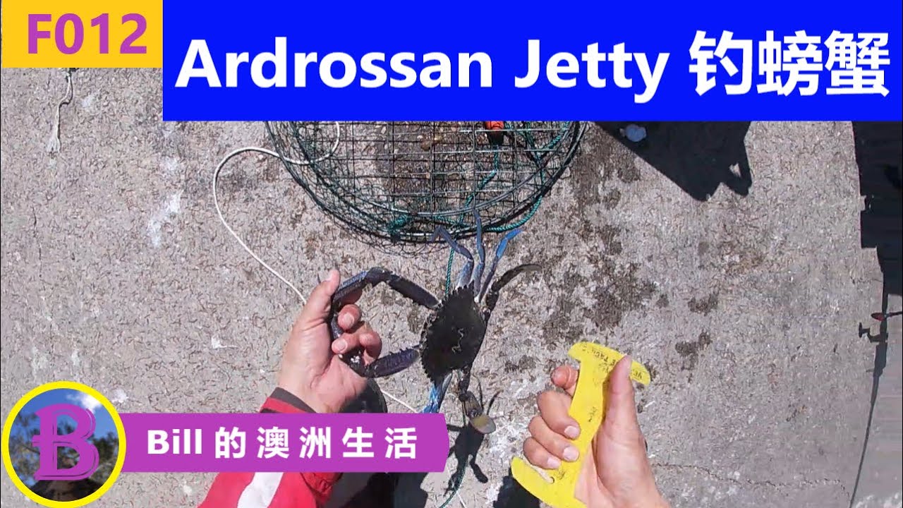 Ardrossan Jetty 钓鱼钓螃蟹 纪实 2021-09-27 - YouTube