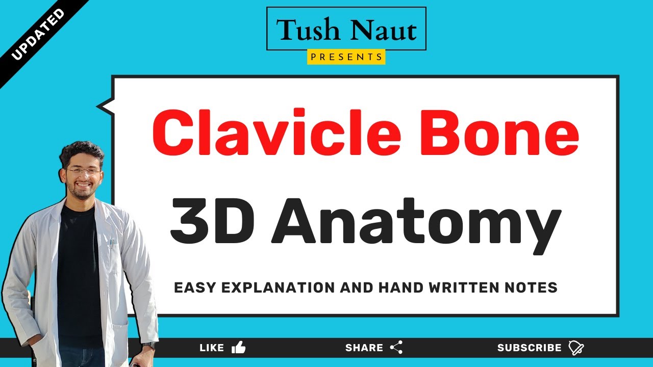 Clavicle bone anatomy 3d - Easy handwritten notes #clavicle #anatomy ...