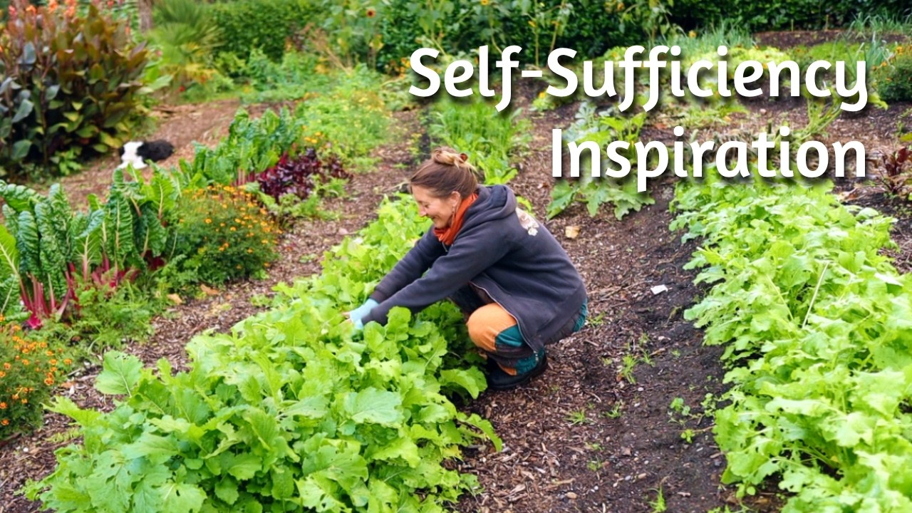 3 Acre UK PERMACULTURE Garden TOUR - Self-Sufficient Gardening ...