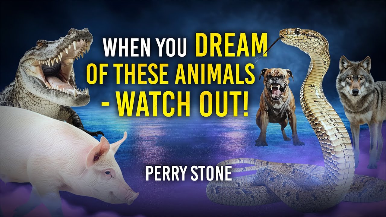 When You Dream Of These Animals - Watch Out! | Perry Stone - YouTube
