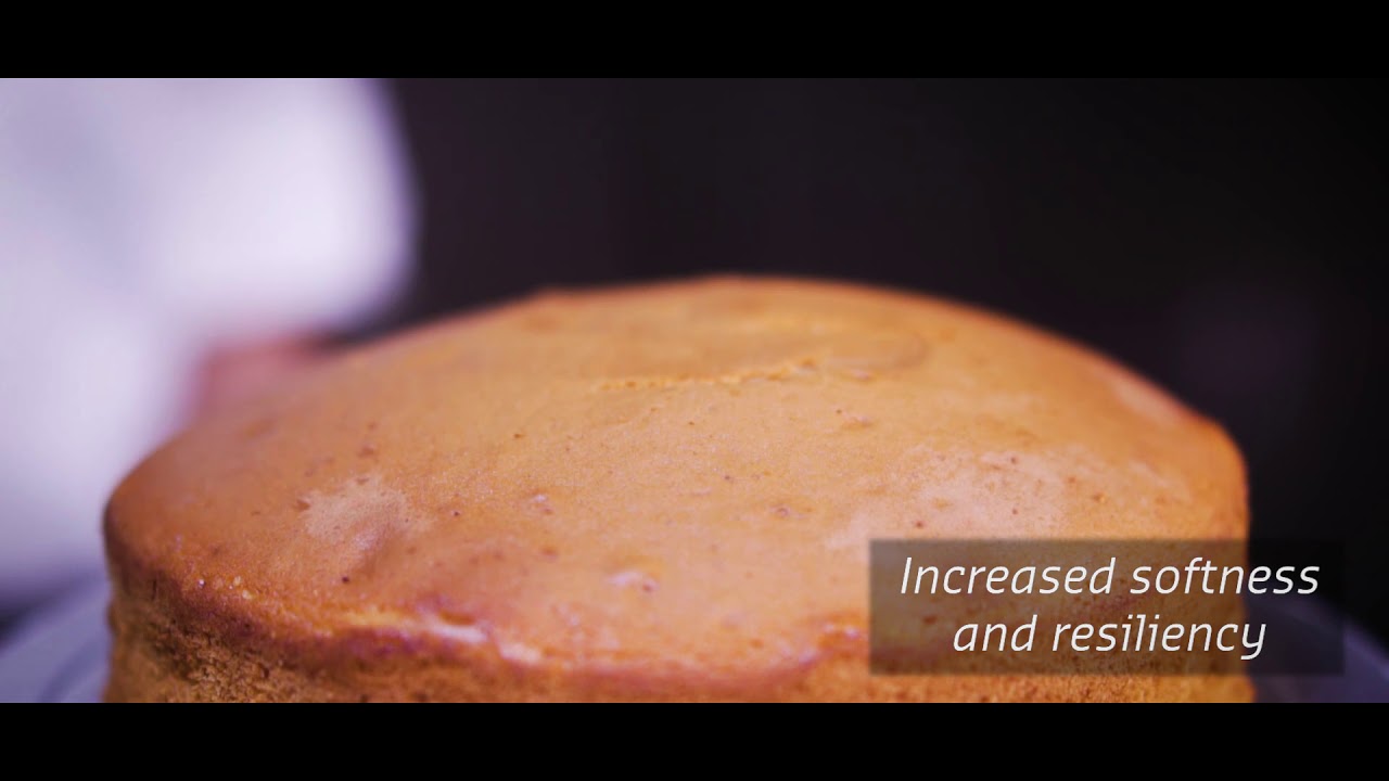 #Foodrecipevideo: Puratos India| Tegral Sponge EF | Aawara films - YouTube