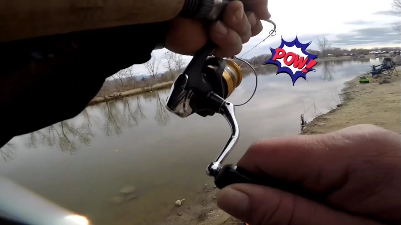 fishing stocked rainbow trout with CORN - YouTube