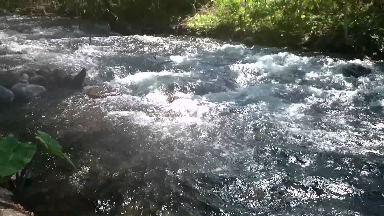 Los Amiales Coquimatlan Colima - YouTube