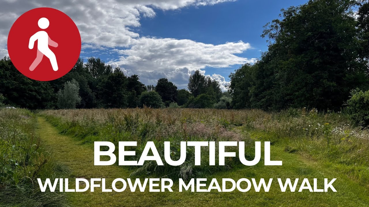 RELAXING Nature Walk In A Scottish Meadow - YouTube