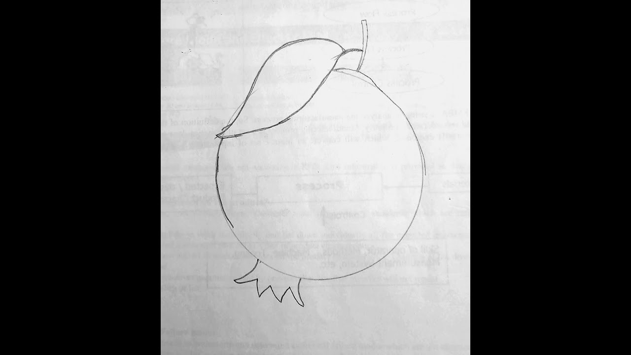 HOW TO DRAW Pomegranate WITH CIRCLE - YouTube