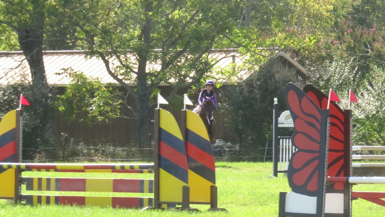 Allison Sharkey and Fling - Show Jumping - Surefire Sept. 24 2017 - YouTube