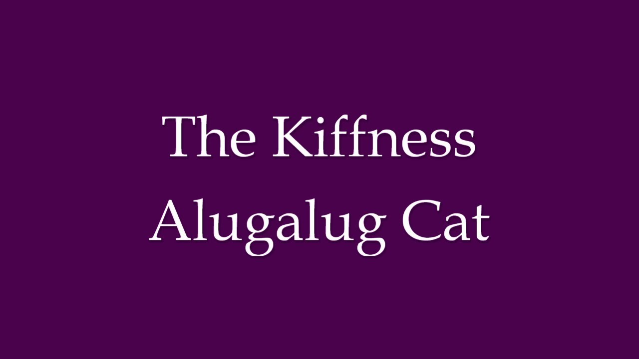 The Kiffness - Alugalug Cat (karaoke) - YouTube