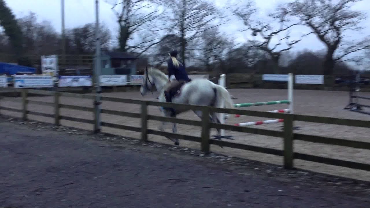 Caprola Z training with Andrew Millin at Church Farm - YouTube