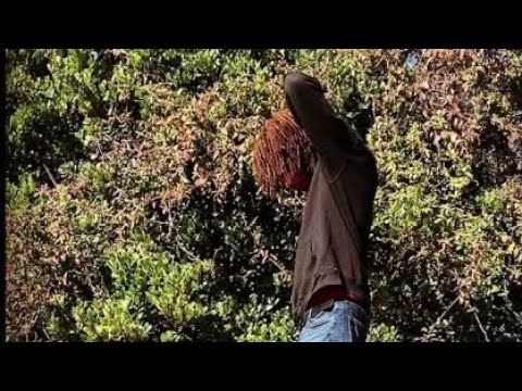 GOD WITHIN ME BY SPIRITUAL TONY@spiritualtony - YouTube