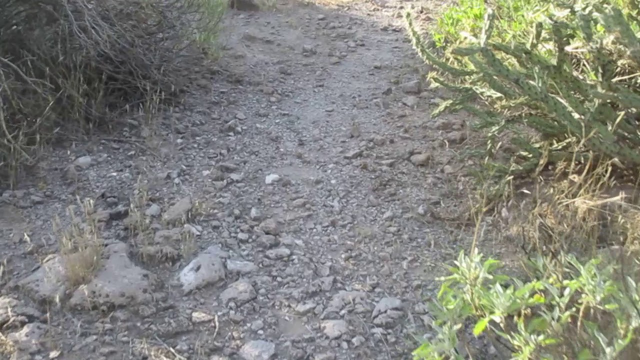 First segment of trail maintenance to the Fragile Arch Saddle - YouTube