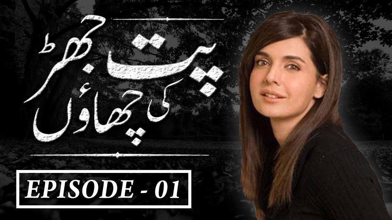 Pakistani Drama Serial - Pathjhar Ki Chaaon {Episode 1} - Mahnoor ...