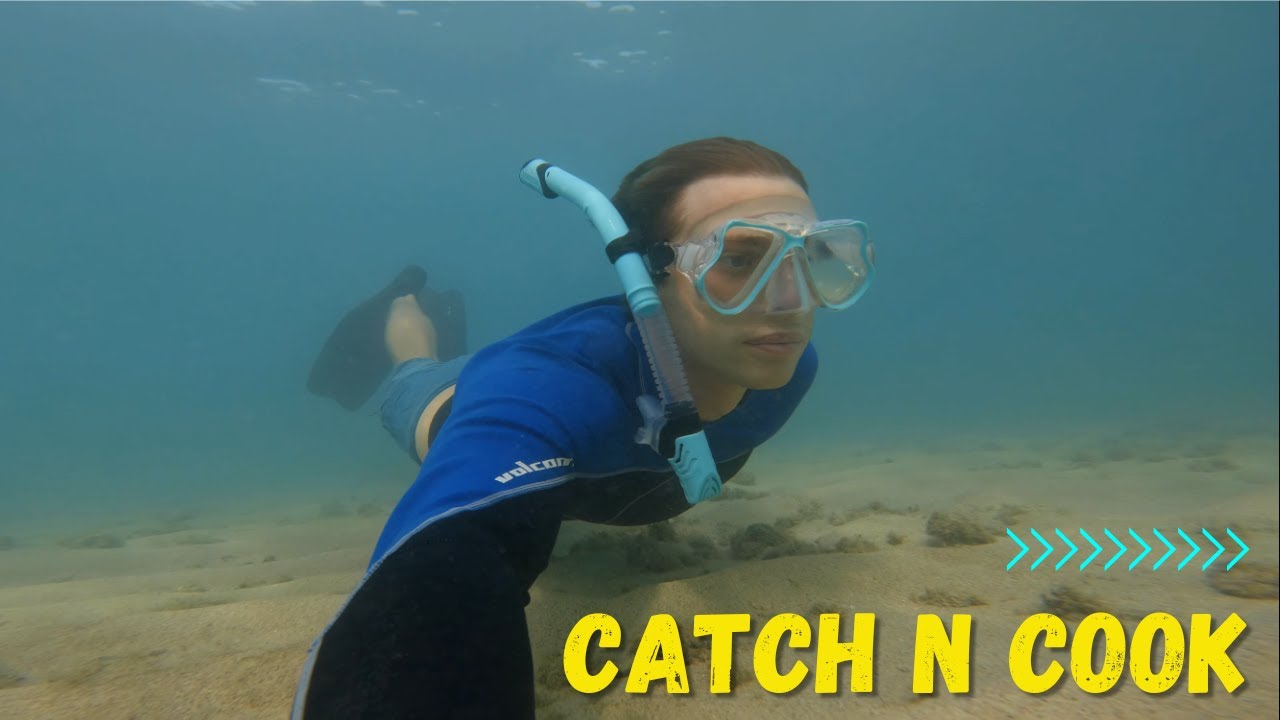 Spearfishing Catch’N cook - YouTube