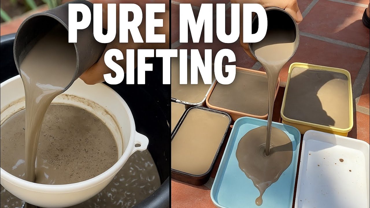 Mud shifting and setting to 📥 trays... Trays washing outube #shorts # ...