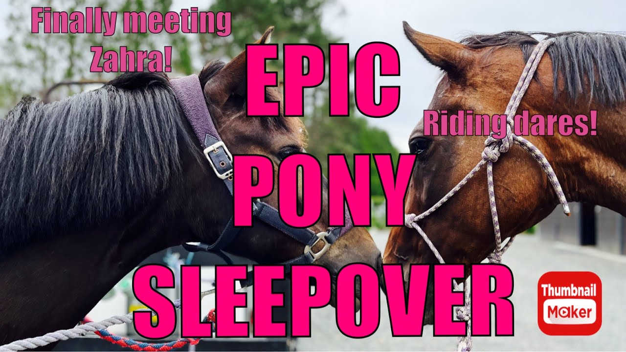 EPIC PONY SLEEPOVER! FINALLY MEETING ZAHRA! 🥳☀️🤩 - YouTube
