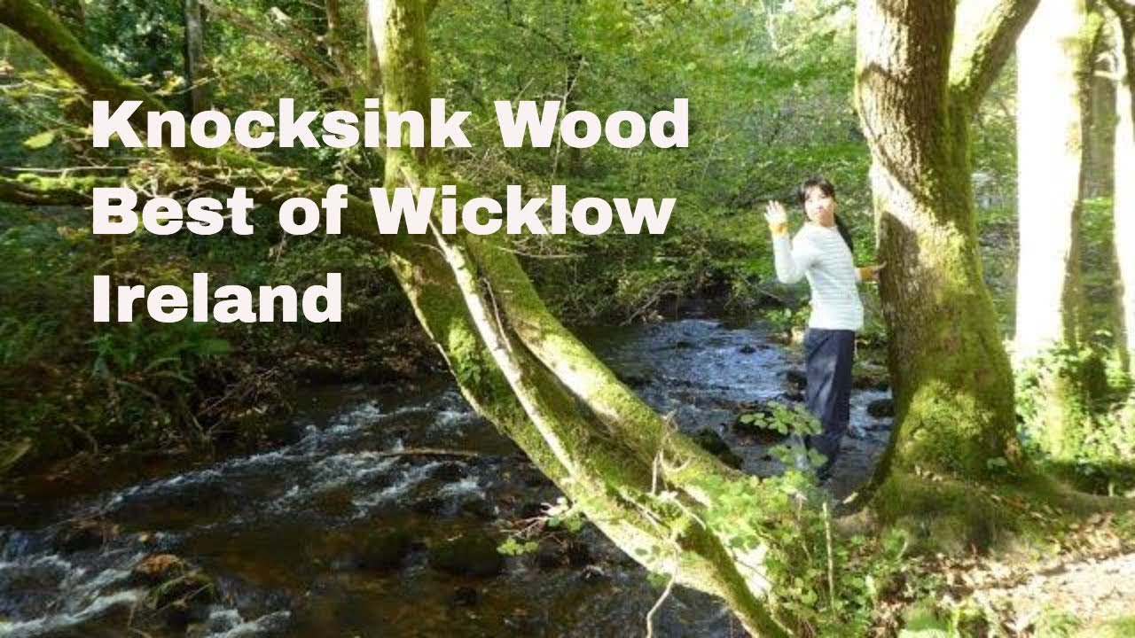 Best Of Ireland Knocksink Wood, Enniskerry, County Wicklow, Ireland ...