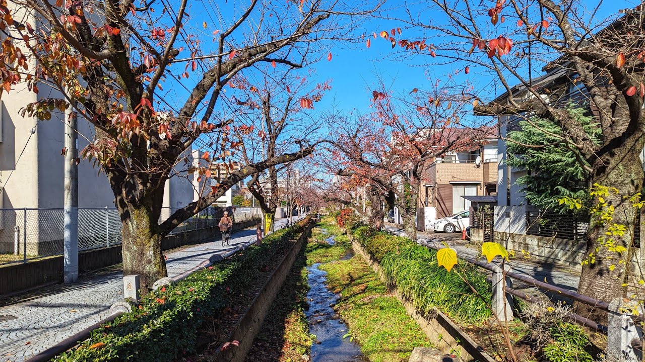 Tokyo Walk - Futako-Tamagawa to Komazawa Park - YouTube