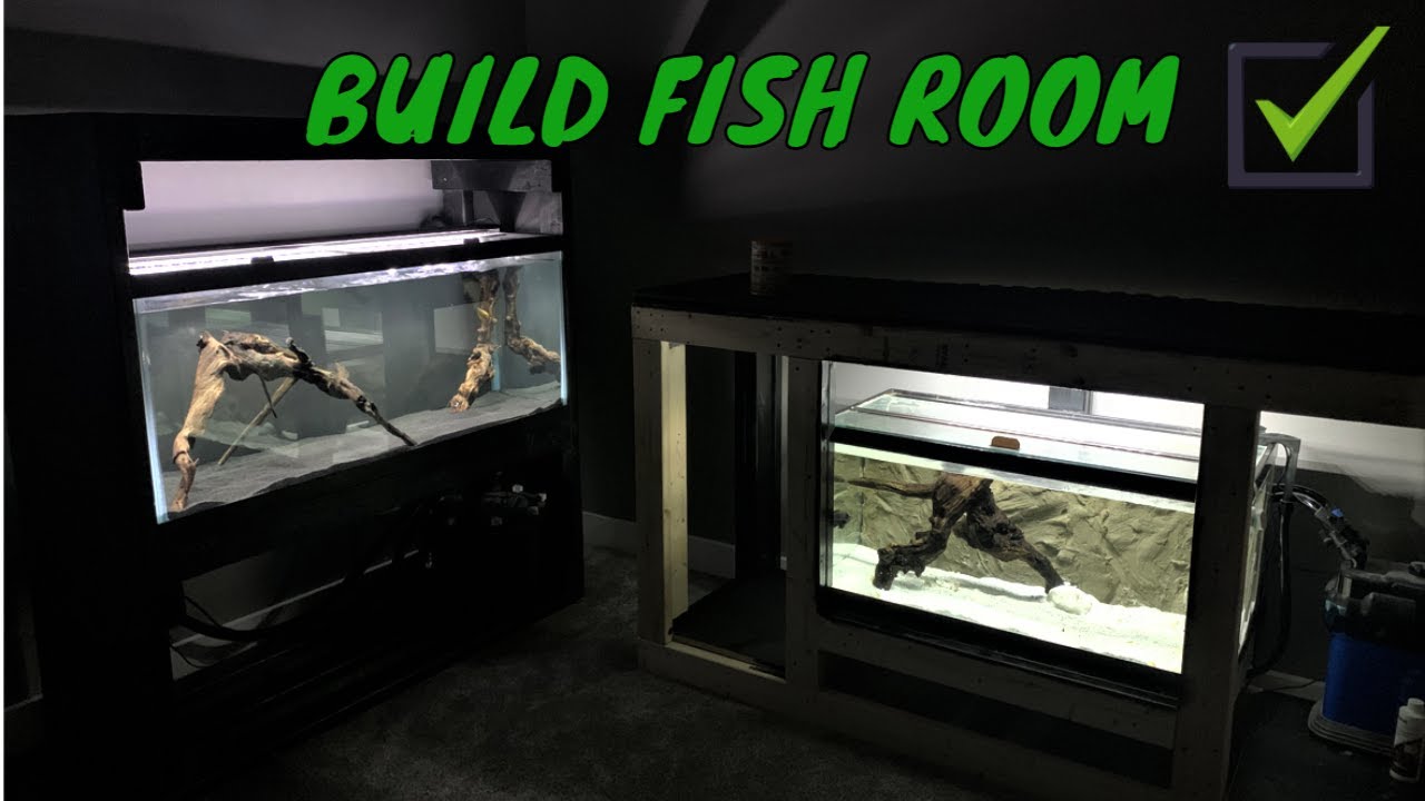 Fish Room Build part 2 ( Revealing Fish Room and Stands ) - YouTube