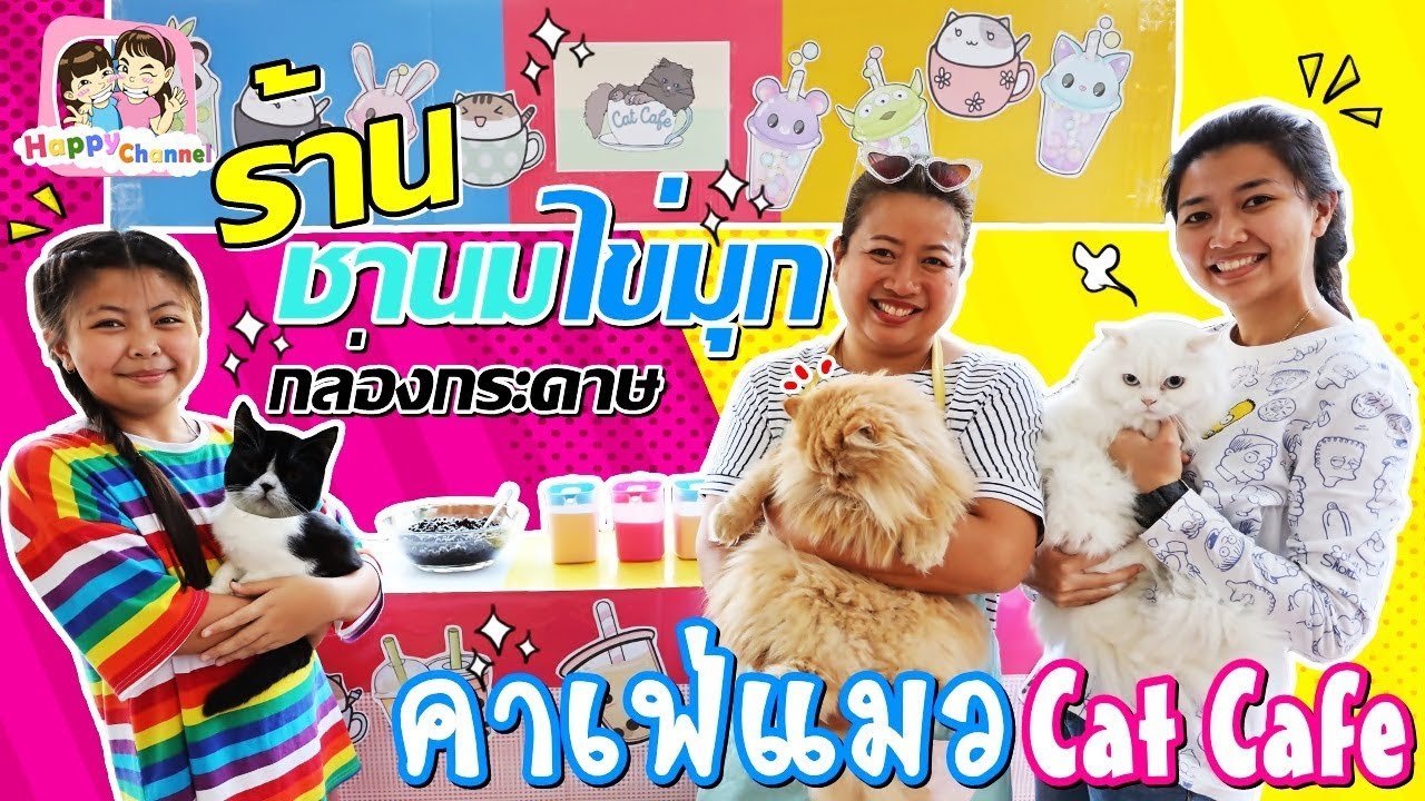 ร้านชานมไข่มุกกล่องกระดาษ คาเฟ่แมว พี่ฟิล์ม น้องฟิวส์ Happy Channel ...