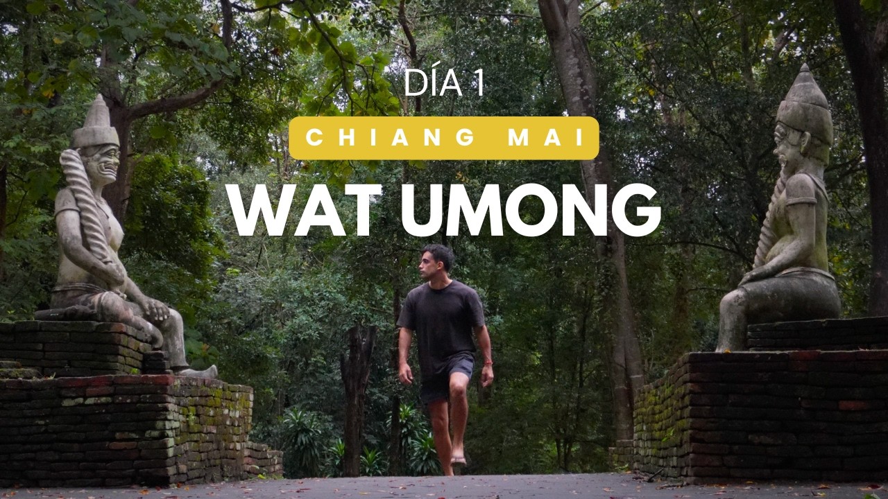 Chiang Mai blog dia 1: Wat Umong, Mercado Baan Kang Wat y Cafetería NO ...
