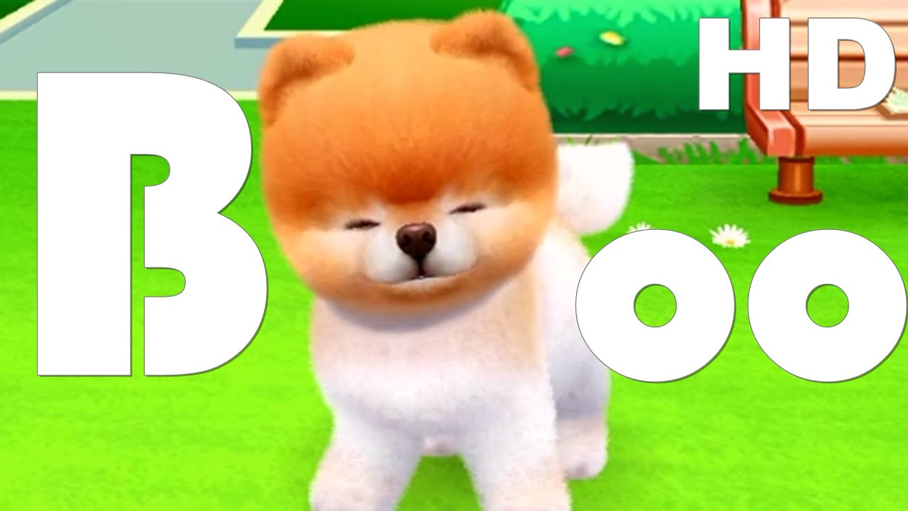Boo Boo Boo - The World's Cutest Dog Game Official Coco Play By TabTale ...