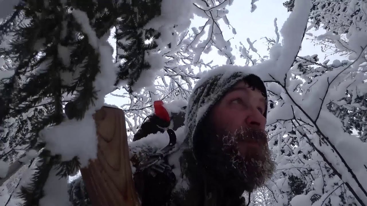 Hunting in wild Siberia for furs and grouse | The best moments - YouTube