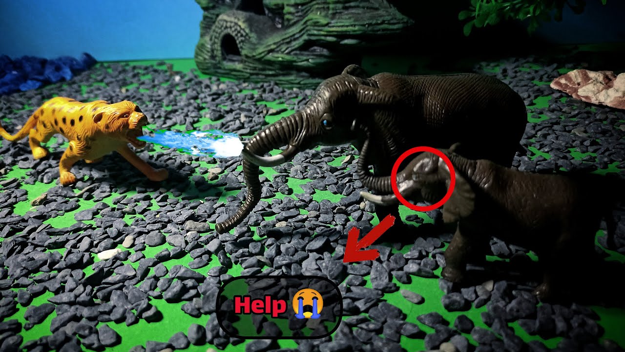 Can the elephant save the forest animals from the evil cheetah? - YouTube