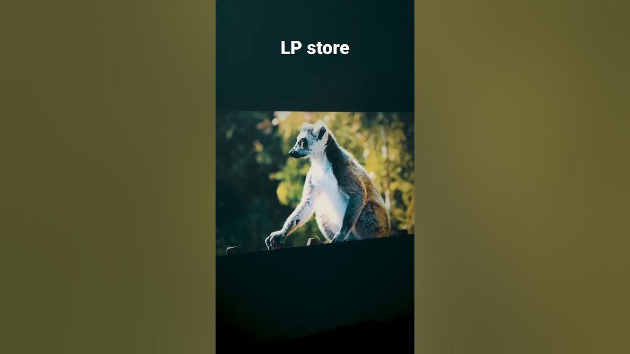 Проектор Everycom T3 - YouTube