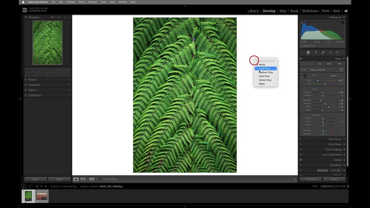 10 Tips for Working in the Develop Module in Lightroom Classic - YouTube