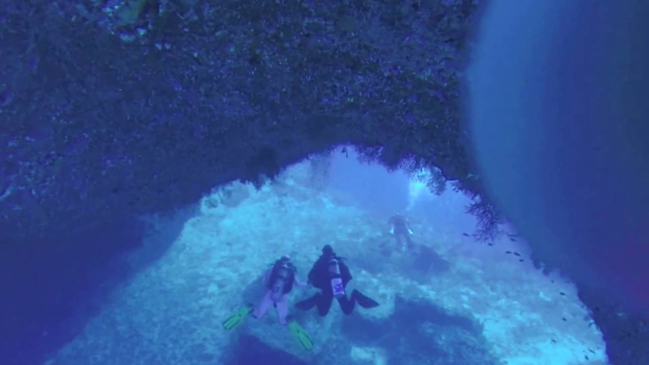 deep Elphinstone Reef - YouTube