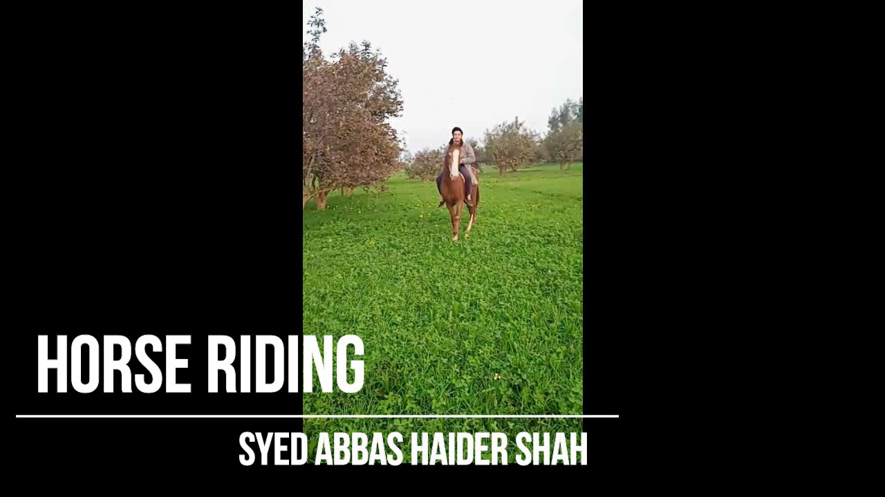 Learn Horse Riding - YouTube