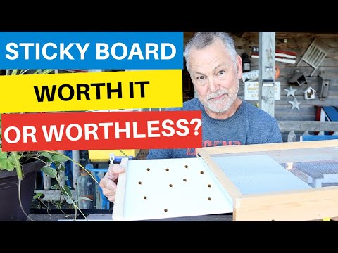How To Sticky Board Beekeeping