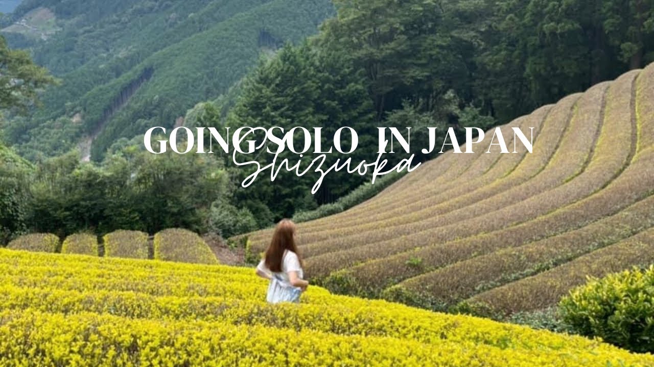 Life in Japan : Exploring Shizuoka | Yellow Tea Farm | Japanese Tea ...