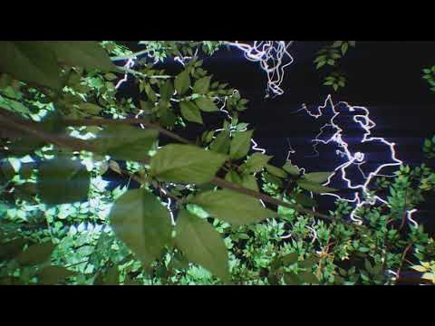 Niagara Tree Simulations | Unreal Engine 4 Niagara | Marketplace ...